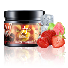 SENCHII® Performance-Booster für Dein next Level